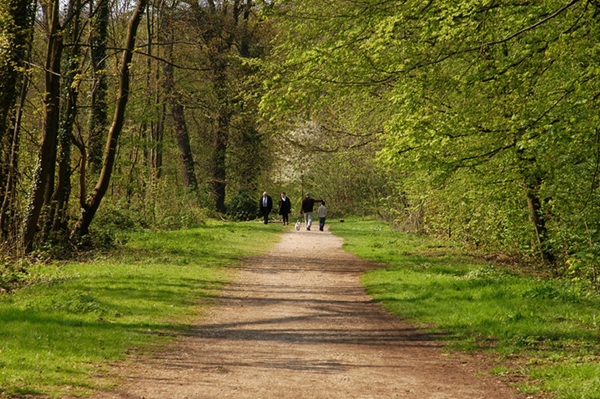 Foresta Demaniale di Meudon - Informazioni utili | VIVI PARIGI